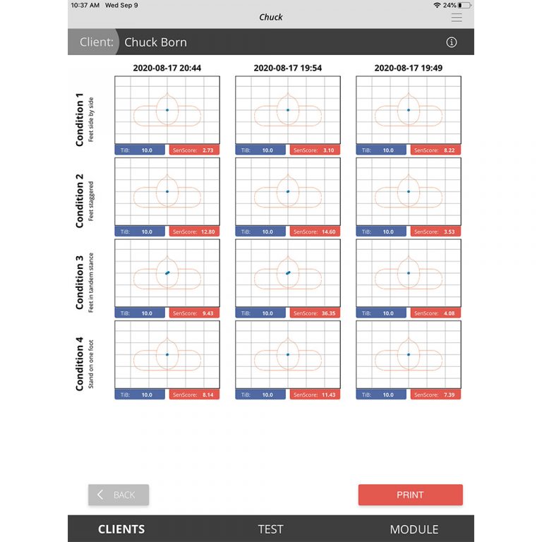NEW AIB Balance Performance Foam (includes Gans Sensory Organization ...