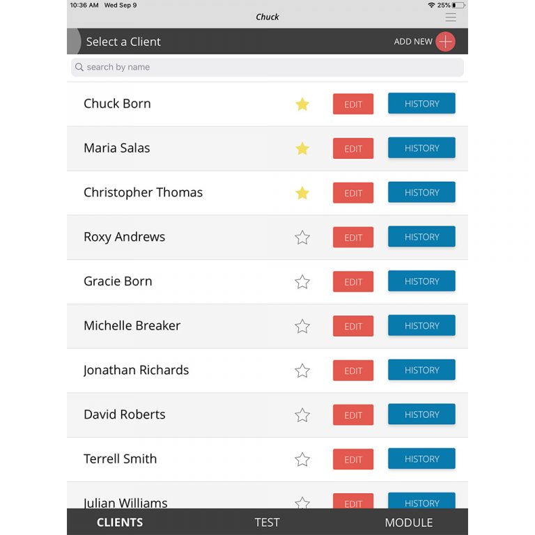 NEW AIB Balance Performance Foam (includes Gans Sensory Organization ...