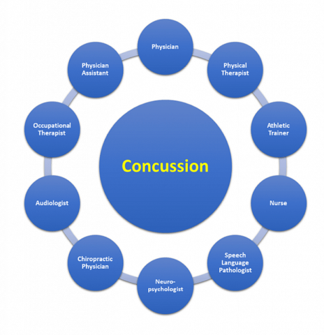 The Concussion Spectrum: Who is on the Team? - The American Institute ...